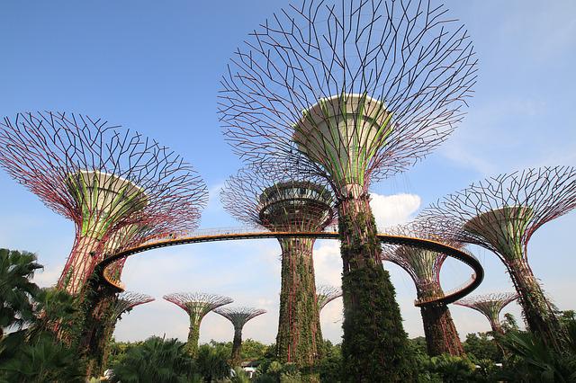 Gardens by the Bay (Flower Dome + Cloud Forest) Ticket Voucher - SKYFUN ...